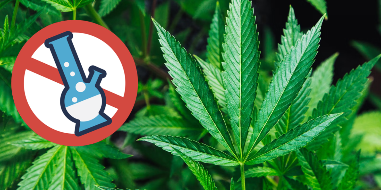 It's 2025 and Iowa just passed a "Bong Law" – High Finds